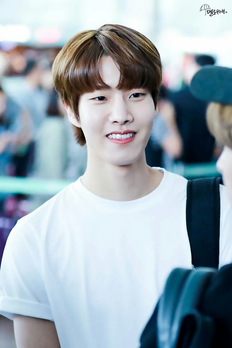 Discuss Everything About Kpop Wiki | Fandom