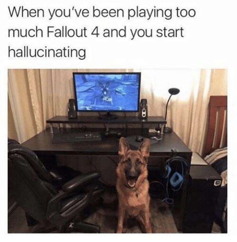 Daily Fallout meme | Fandom