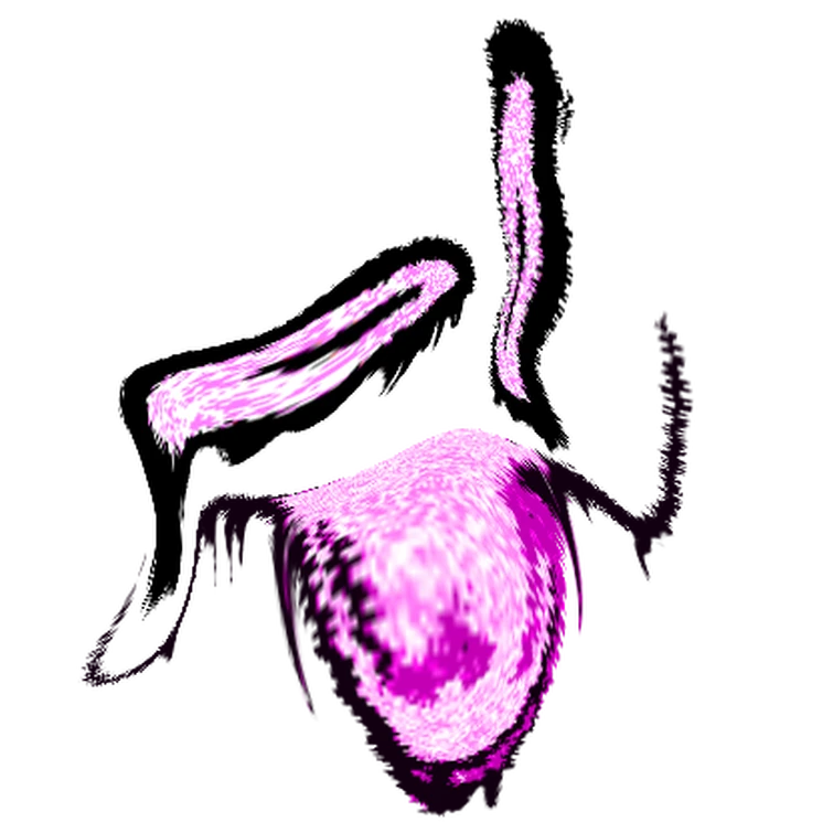 Discuss Everything About ROOMS: Low Detailed Wiki | Fandom