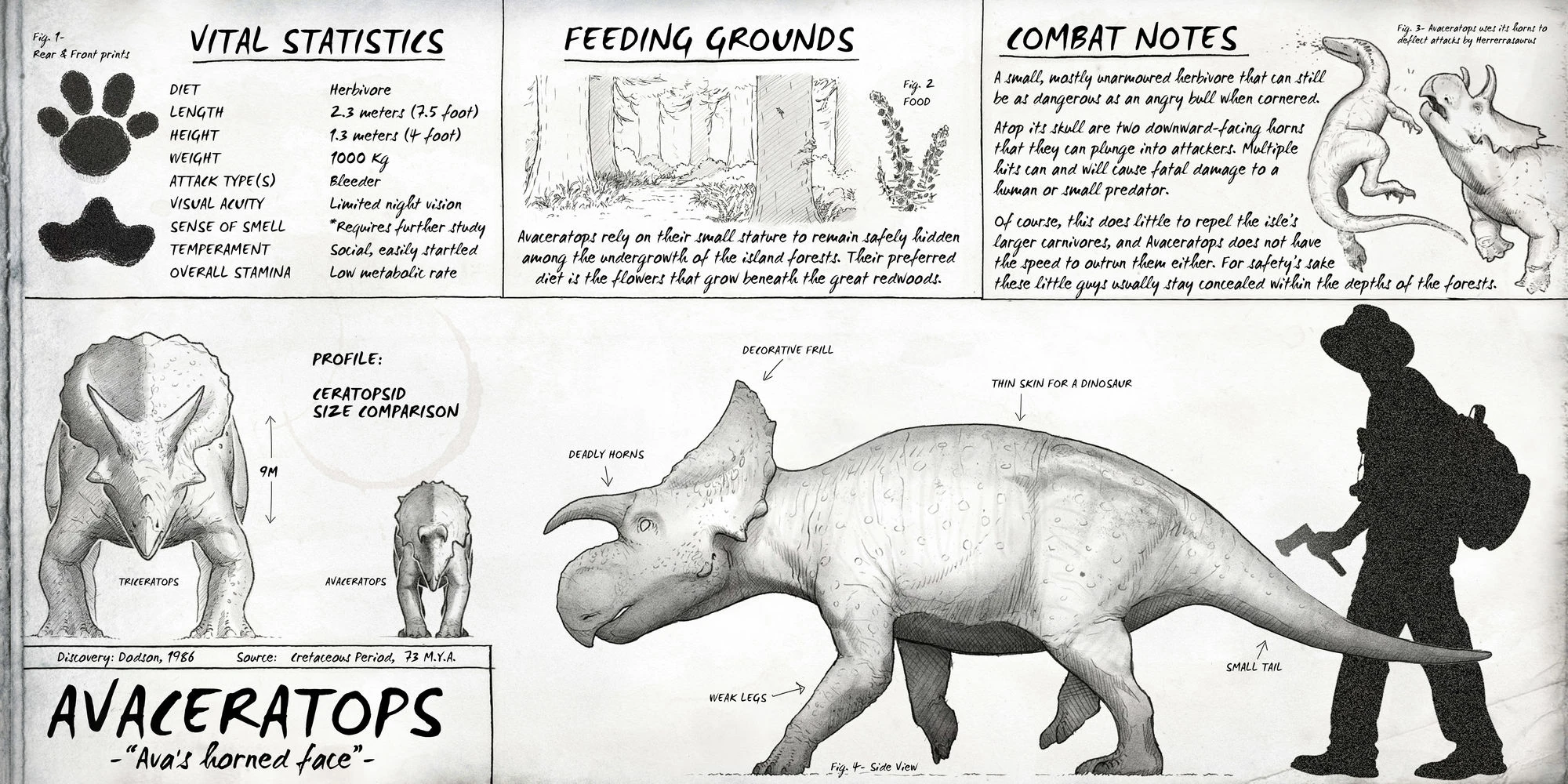 Avaceratops from the isle | Fandom