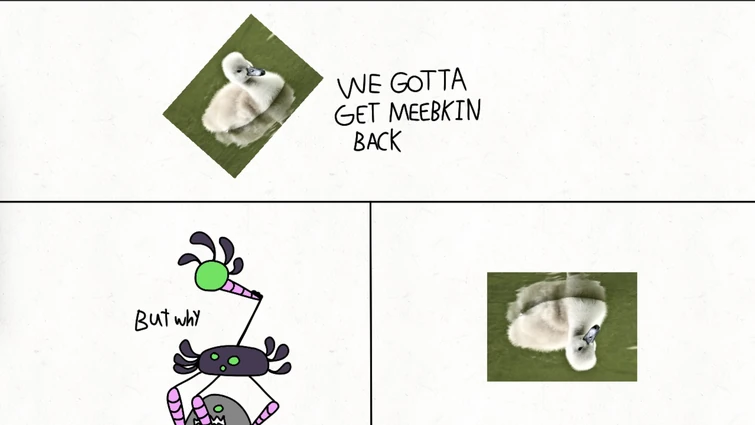 we GOTTA get MEEBKIN back | Fandom
