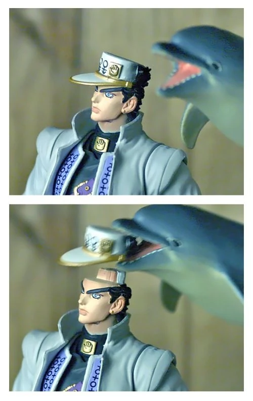 Dolphin Make Some Cursed Image | Fandom
