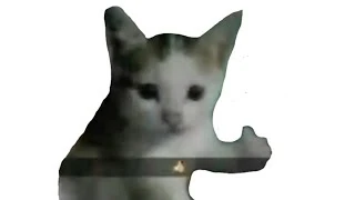 big apologies | Fandom