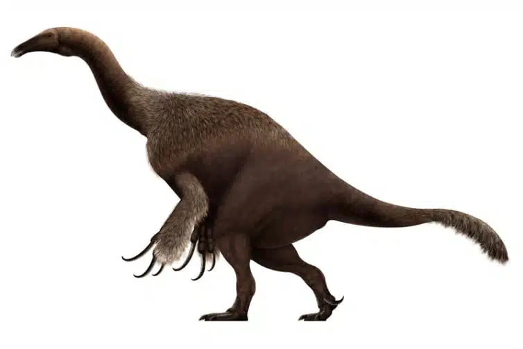 Ghost idea for ghost/entity/npc coders/makers | Fandom