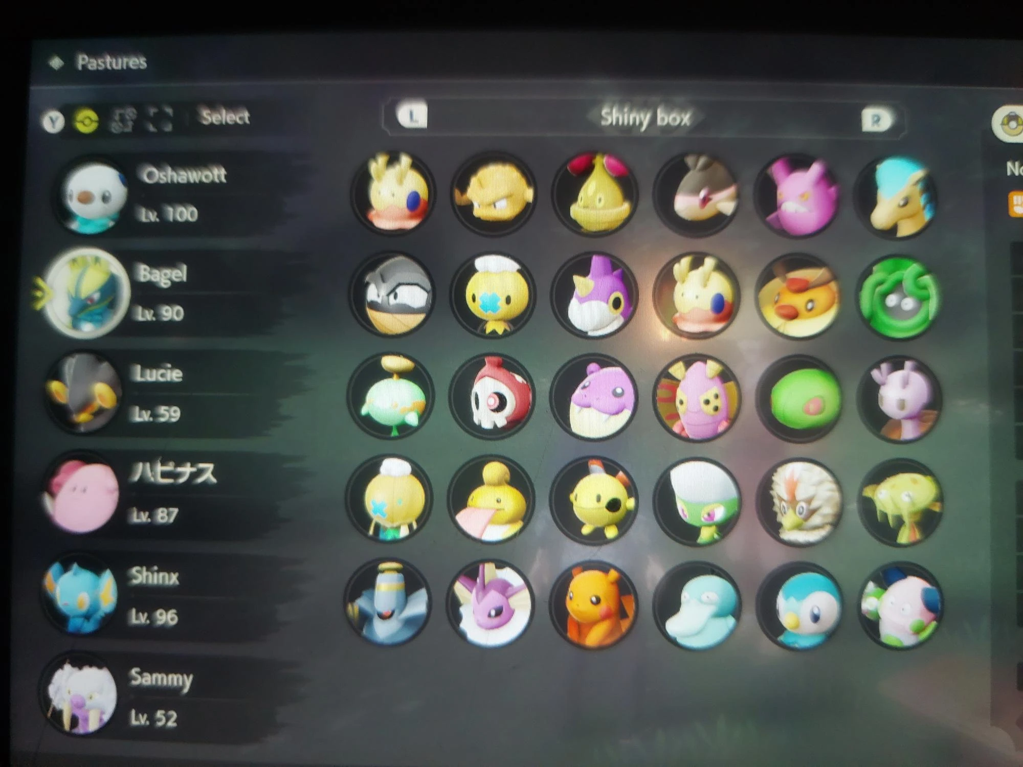 2 full shiny boxes (minus party shinies) | Fandom