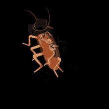 la cucaracha, la cucaracha | Fandom