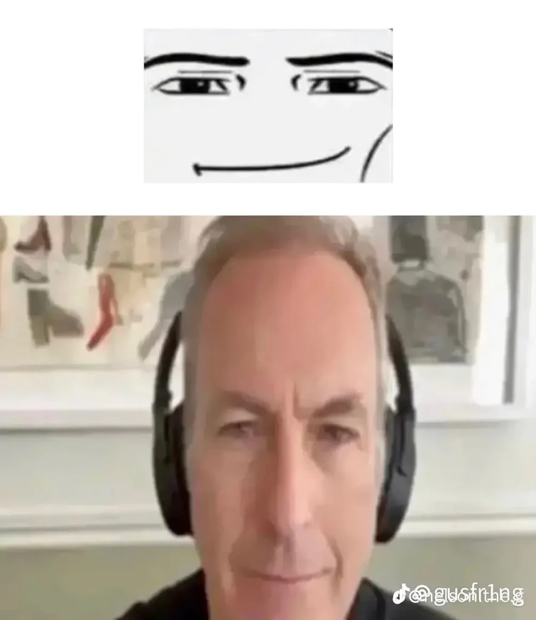 Add double mags? (Cmon this legit ackshully makes sense) | Fandom