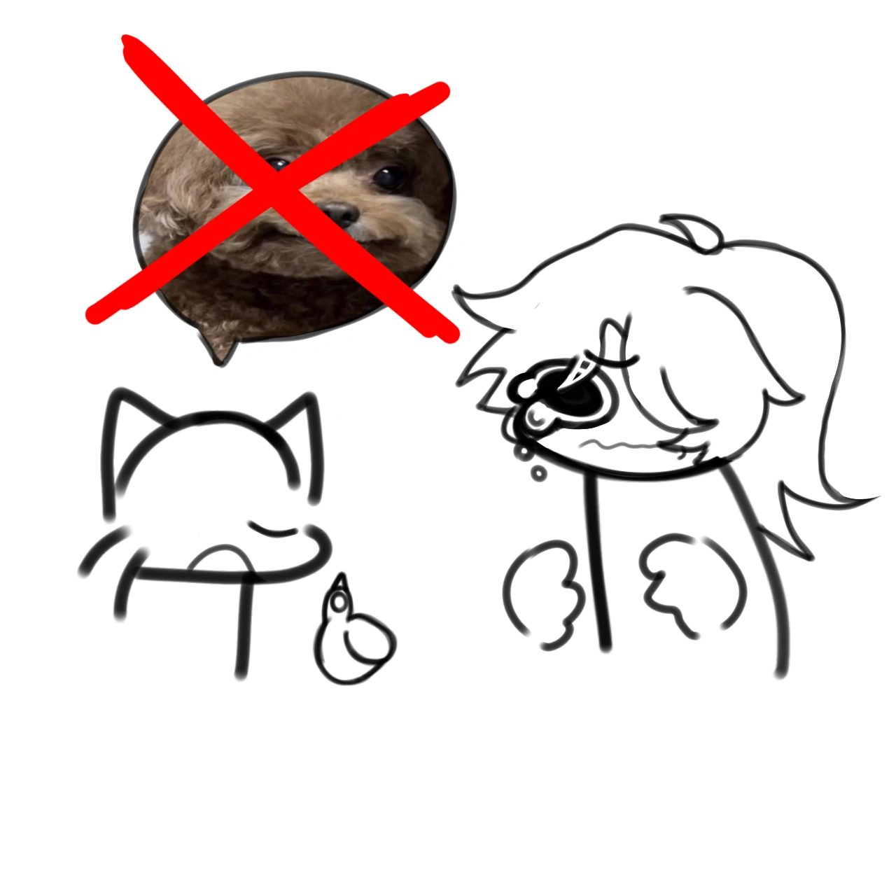 The cat was like no no girl you are not getting a puppy | Fandom