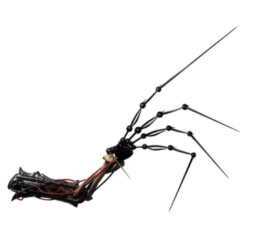 Discuss Everything About Poppy Playtime Wiki | Fandom