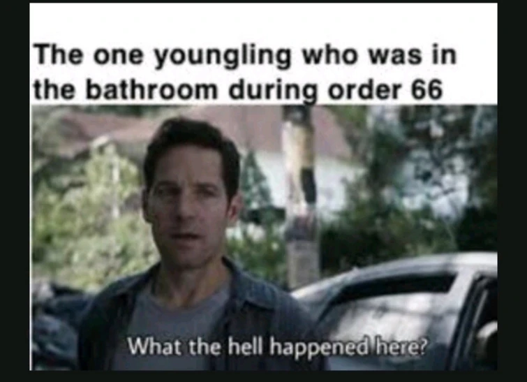 fav sw meme | Fandom