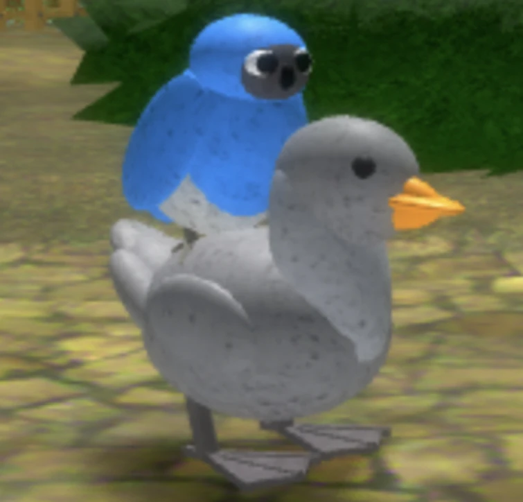 Discuss Everything About Feather Family Wiki | Fandom