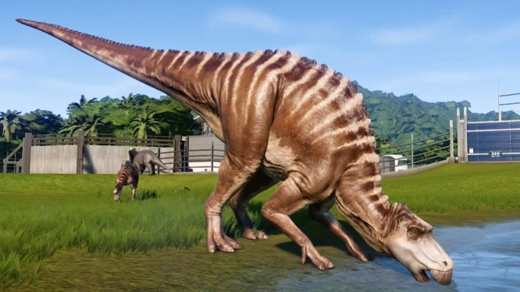 JWE Species Analysis | Fandom
