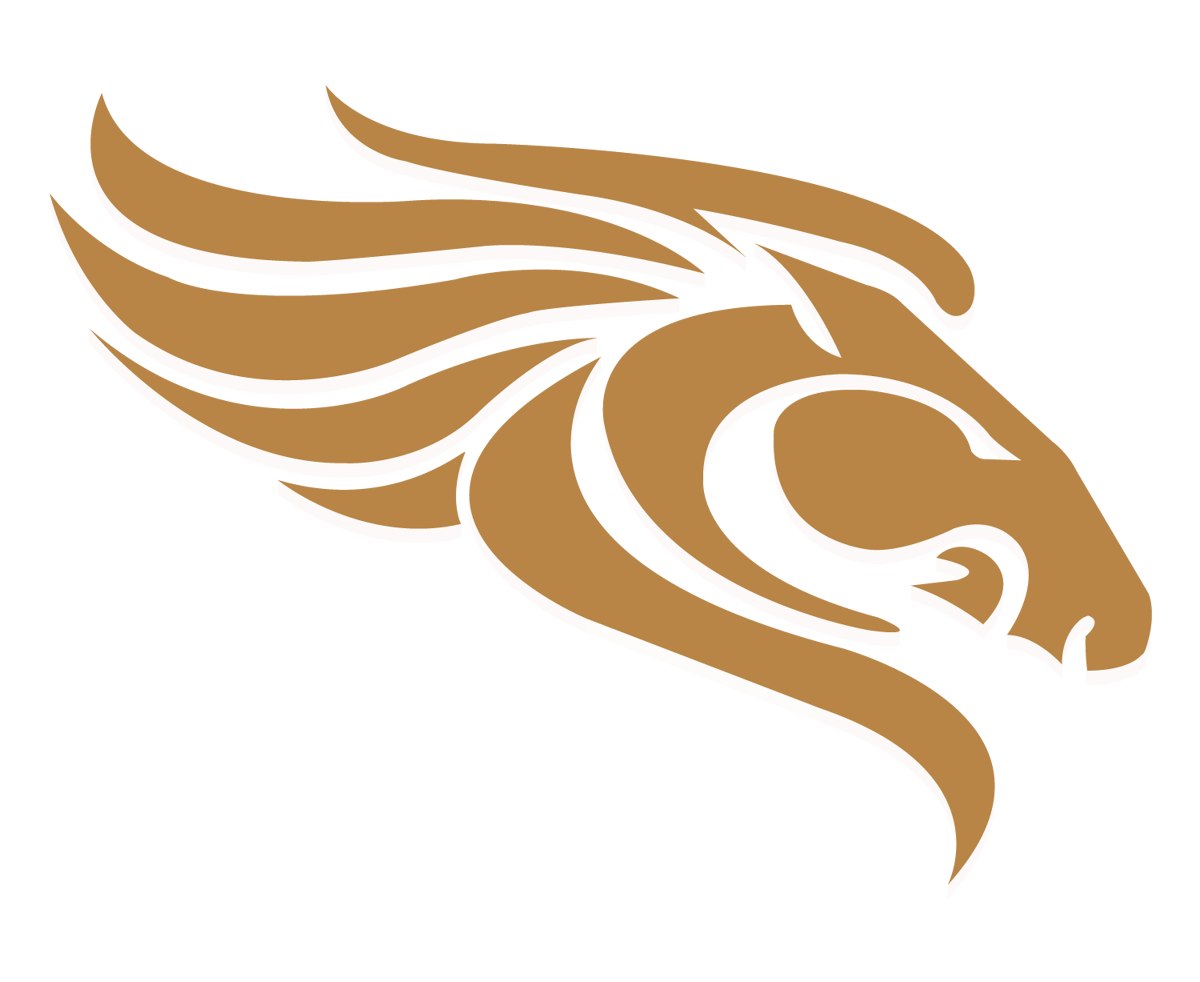 St. Louis Stallions | Continental Football Association History Wiki ...