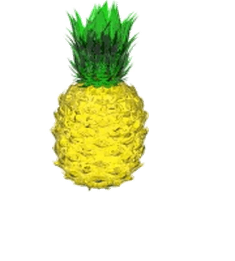 THE ULTIMATE OUR BEAUTIFUL GROUNDS OFF TOPIC THREAD (+pineappleware ...