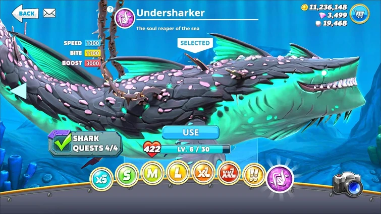 New shark | Fandom