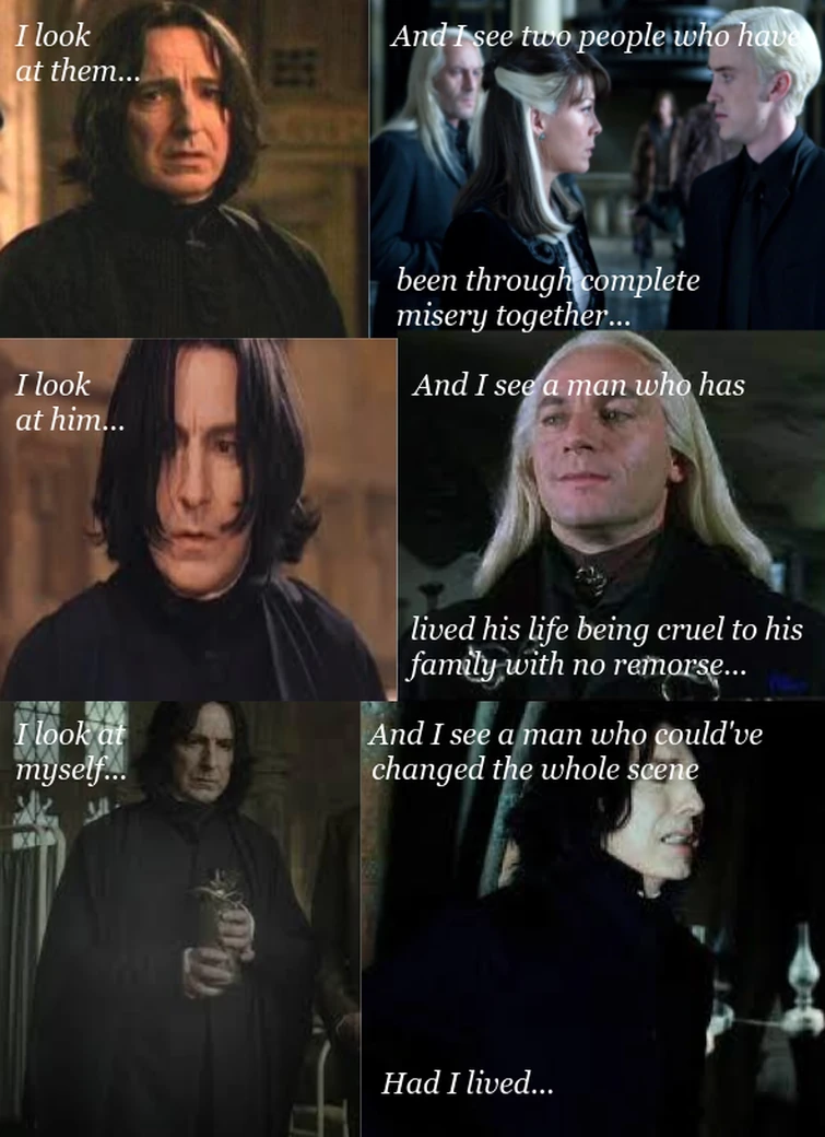 Snape's ghost looks at them, and he sees two people he wish he could've ...