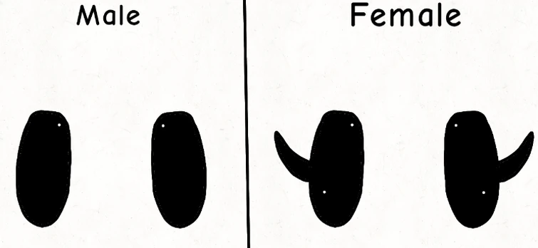 Here are the state's eyes, representing their gender! | Fandom