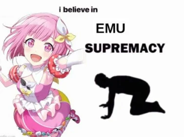 Wonderhoy simulator | Fandom