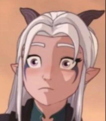 What's your favourite funny face of Rayla? | Fandom