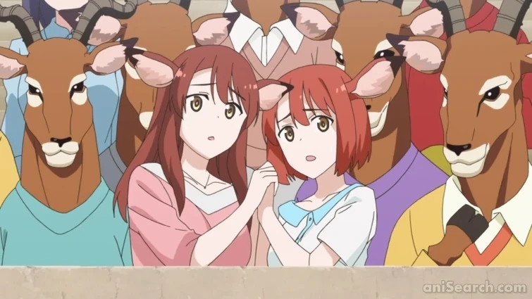 Impala Physiology | Fandom