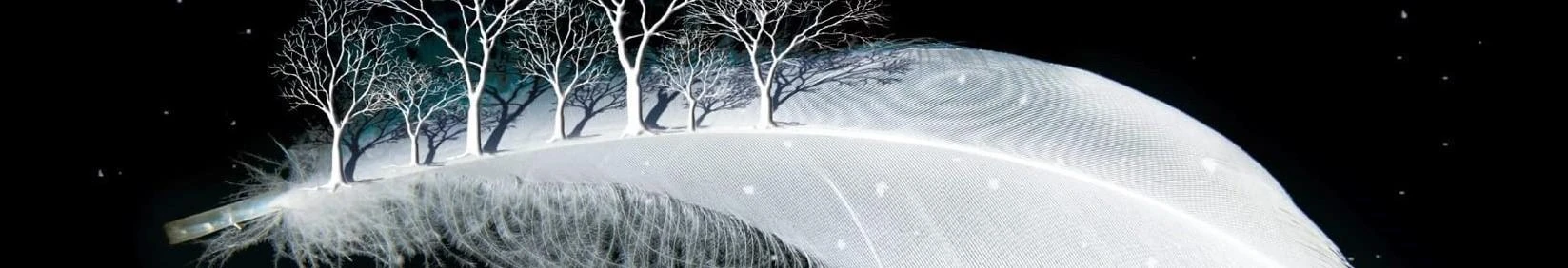 The Black Witch Subreddit NEEDS your help to revive it. | Fandom