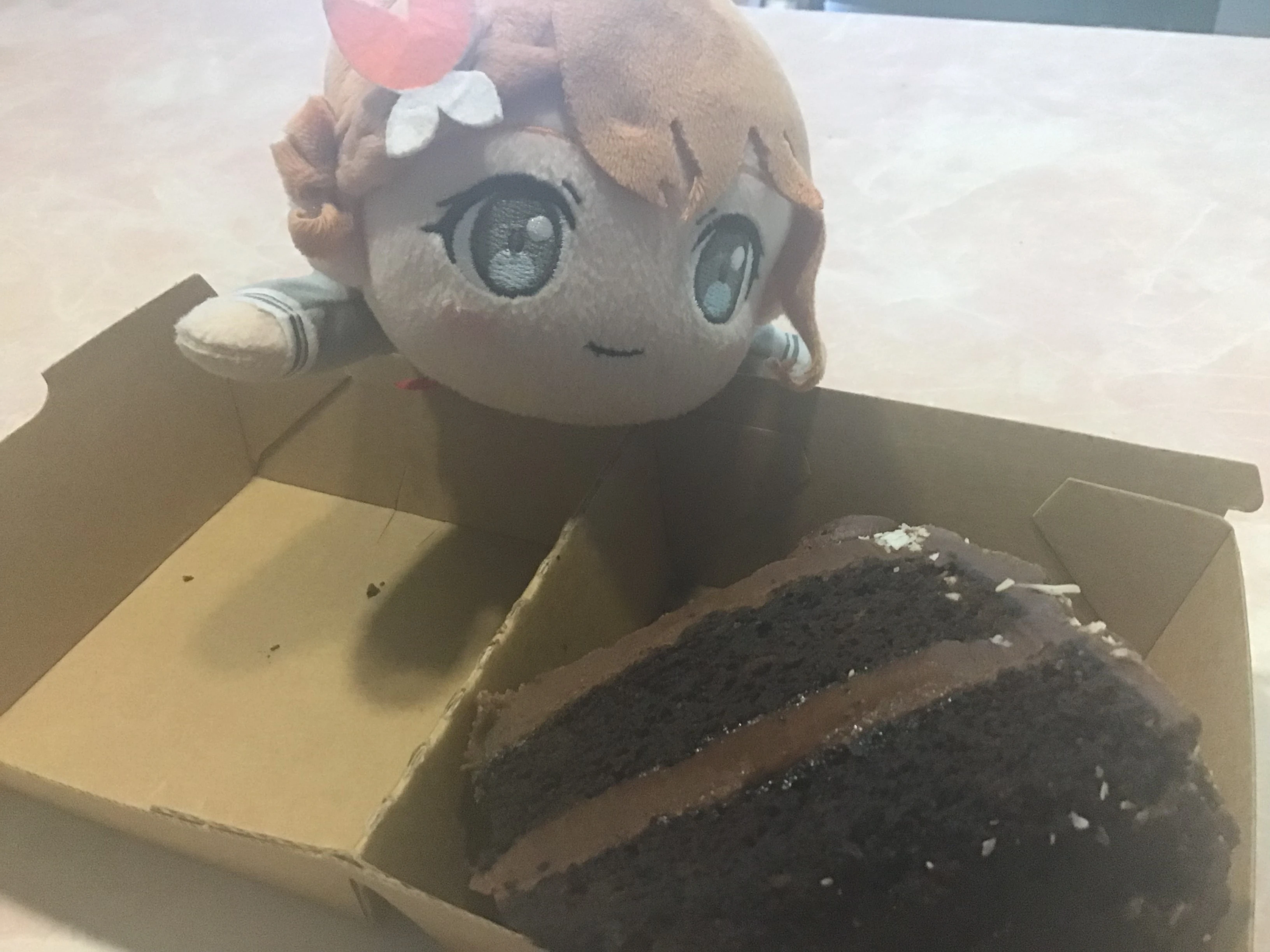 Minoneso has this chocolate coconut cake thing! | Fandom