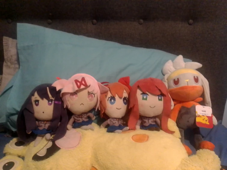 The new scrunkly with the cuter scrunklies... | Fandom