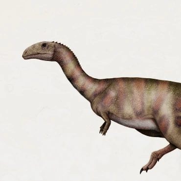 Discuss Everything About Dinopedia | Fandom