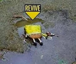 NIC wiki rn | Fandom