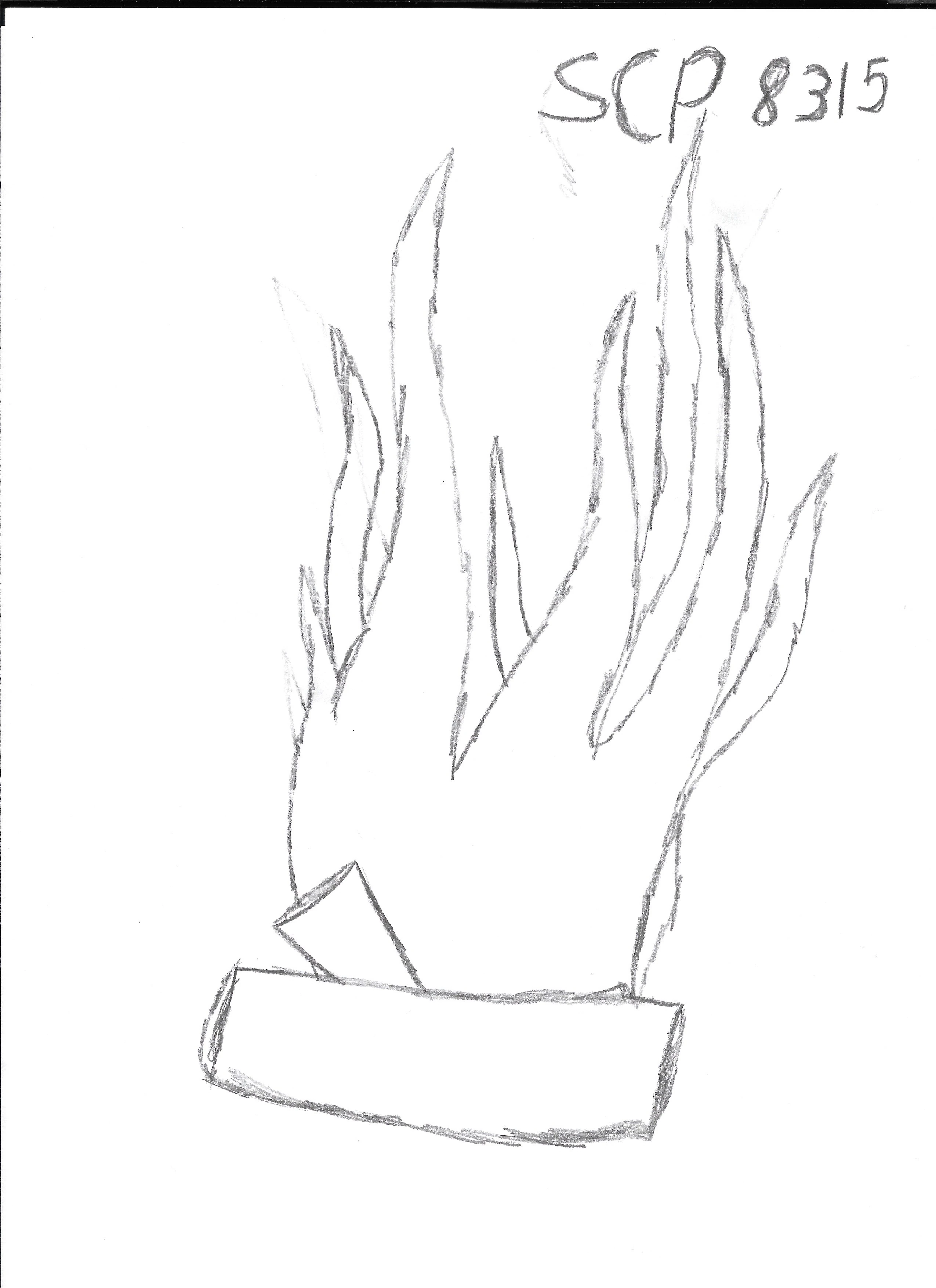scp 8315 | Fandom