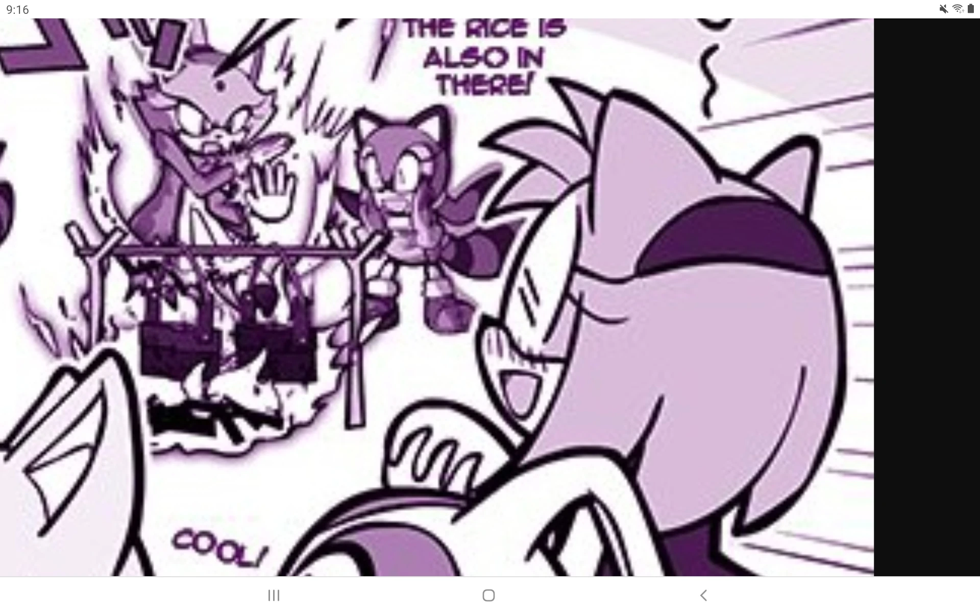 I think Amy Rose (Sonic) is bisexual in the main continuity | Fandom
