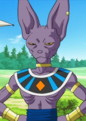 What should the name of Beerus' race be? | Fandom