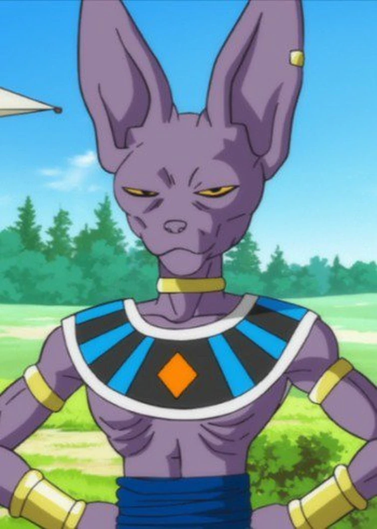 What should the name of Beerus' race be? | Fandom