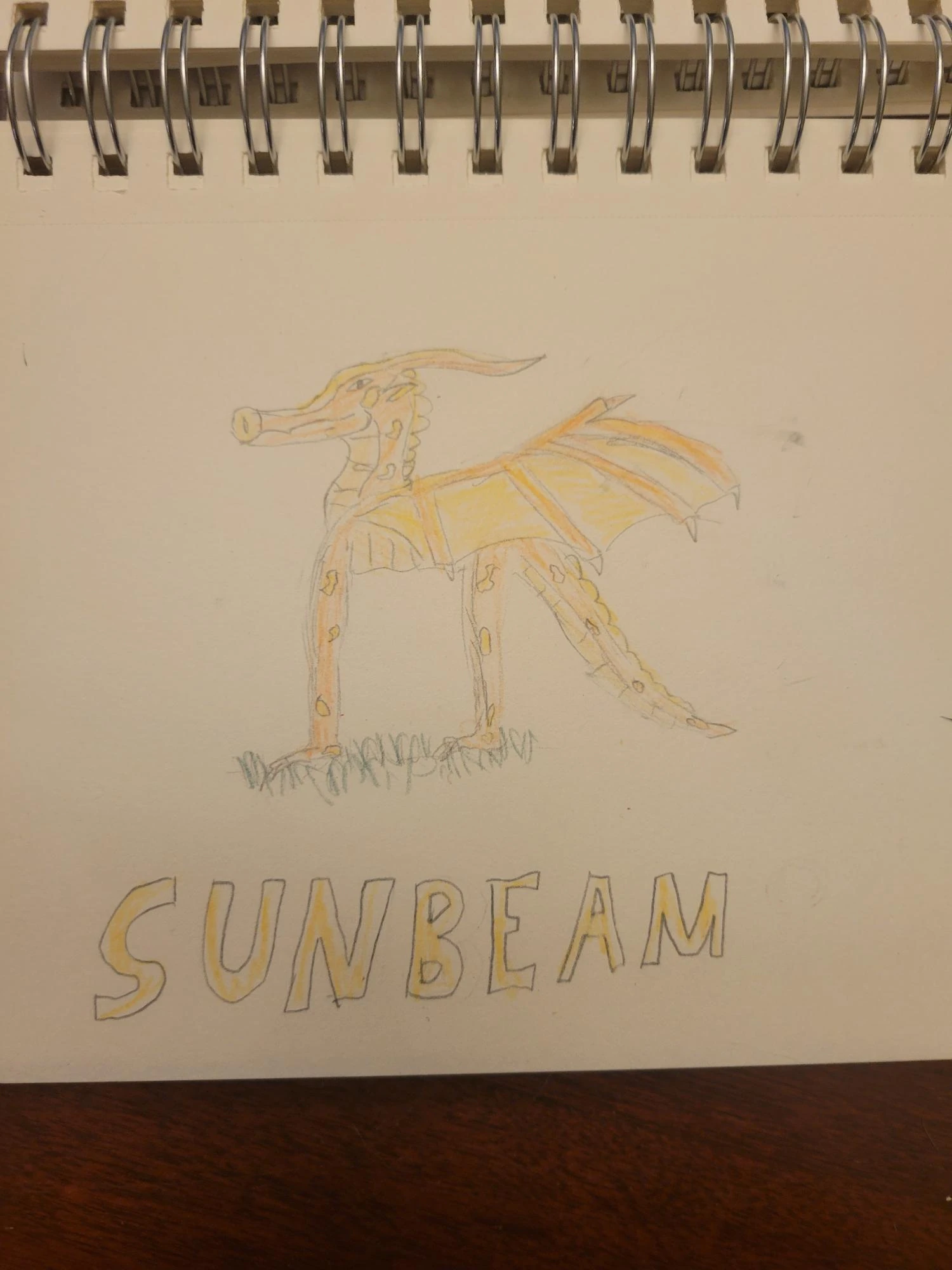 Sunbeam the SunWing! | Fandom