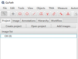 QuPath定量 | CGMA Aging Group Wiki | Fandom