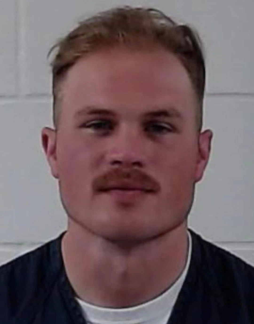 Parker lally | CHACelebrities Wiki | Fandom