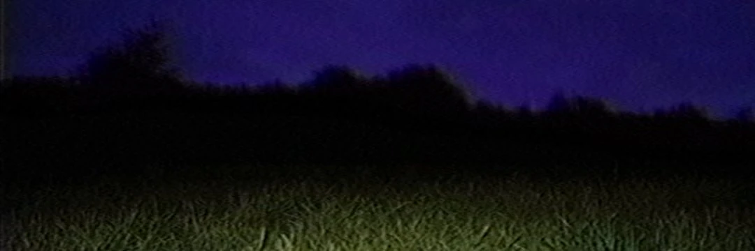 Chad’s Diner | Chad Wiki | Fandom