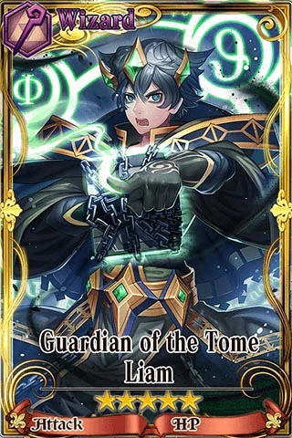 Liam | Chain Chronicle Wiki | Fandom