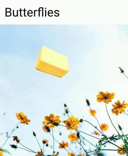 Butter-Flies | Chainer League Wiki | Fandom