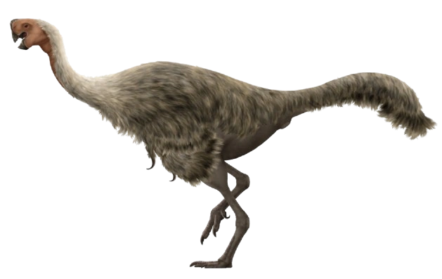 Citipati | Chain Story Wiki | Fandom