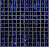 SCANNING | Chakrenspace Wiki | Fandom