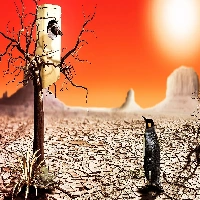 Crazy World | Chakrenspace Wiki | Fandom