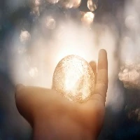 Das Leben | Chakrenspace Wiki | Fandom