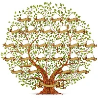 Stammbaum | Chakrenspace Wiki | Fandom