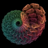 Spiralia | Chakrenspace Wiki | Fandom