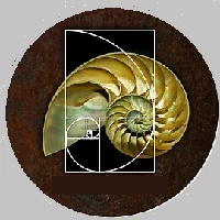 Nautilus | Chakrenspace Wiki | Fandom