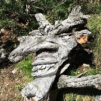 Sagenwelt | Chakrenspace Wiki | Fandom