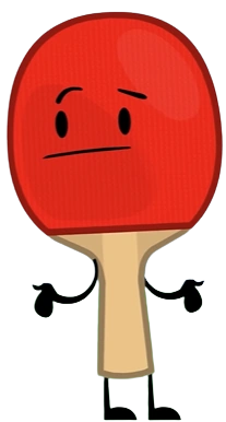 Ping Pong Racket | Challenge To Win Wiki | Fandom