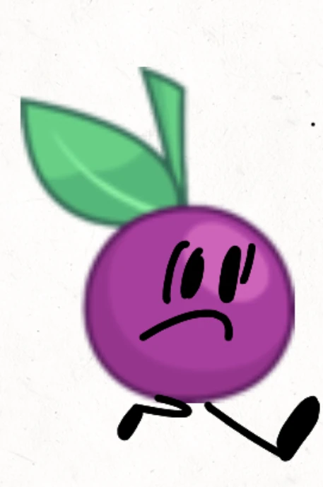 Berry | Challenge to Win Wiki | Fandom