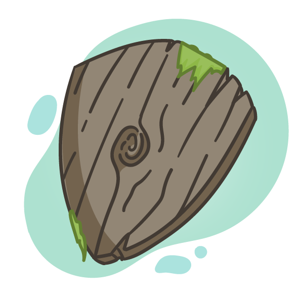 Uncommon Shield | $CHAMPZ Wiki | Fandom